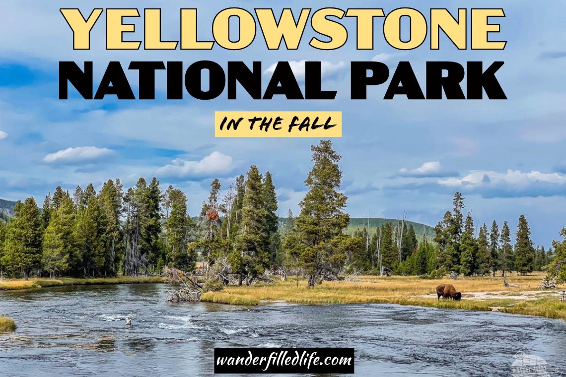 Visiting Yellowstone in the Fall (Tips and Itinerary) - Our Wander ...