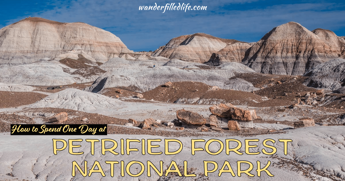 One Perfect Day in Petrified Forest National Park: Must-See Sights ...